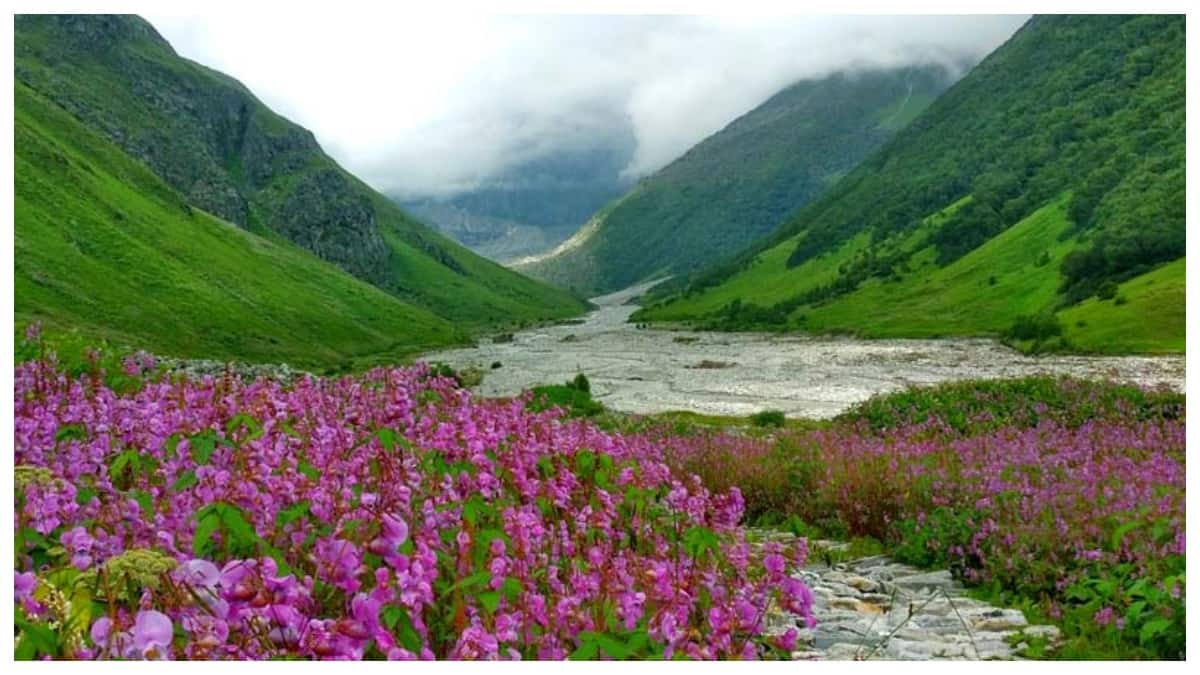 Valley of Flowers reopens for tourists: Best time to visit, trek route ...