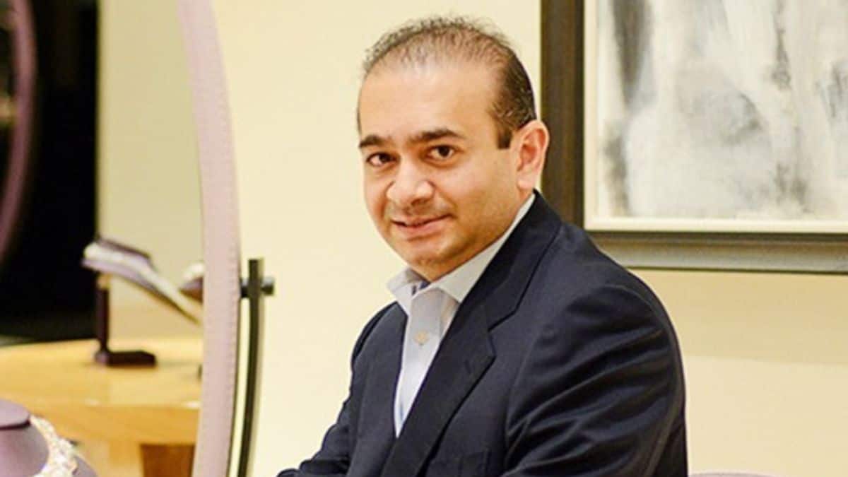 Another setback for Nirav Modi as UK court orders him to pay Bank of ...