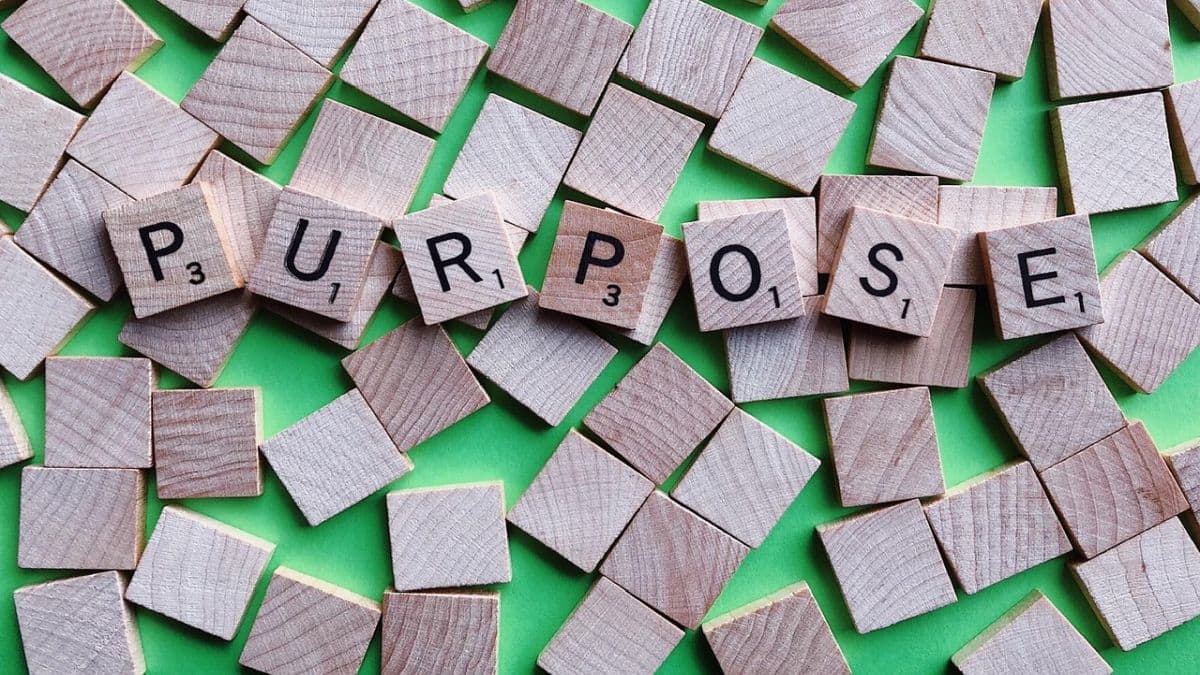 Do companies need Chief Purpose Officers? What is their role? – Firstpost