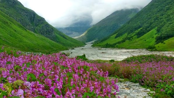 Valley of Flowers reopens for tourists: Best time to visit, trek route ...