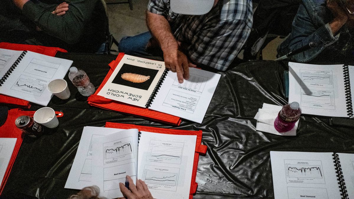 Flesh-eating screwworm detected in US: How dangerous is it? – Firstpost