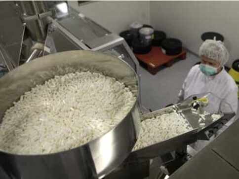 Ipca Labs stock tanks 8% on FDA import alert for Ratlam plant-Business ...