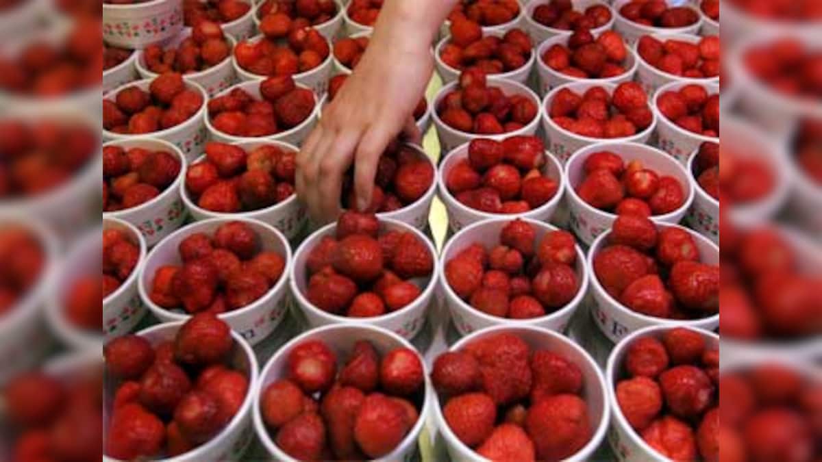 What is it like for a reporter covering Wimbledon? Here’s an insider’s ...