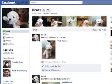 Social animals: 'One in 10 pets on Facebook, Twitter, YouTube' – Firstpost