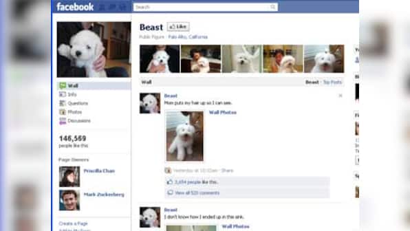 Social animals: 'One in 10 pets on Facebook, Twitter, YouTube' – Firstpost
