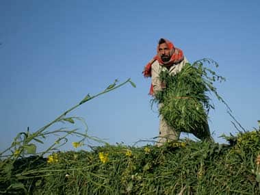 37 get bail in fodder scam cases – Firstpost