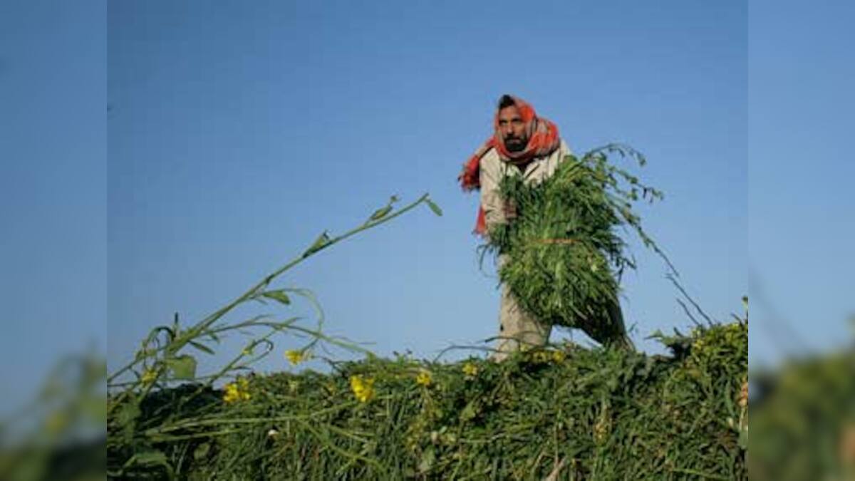 37 get bail in fodder scam cases – Firstpost