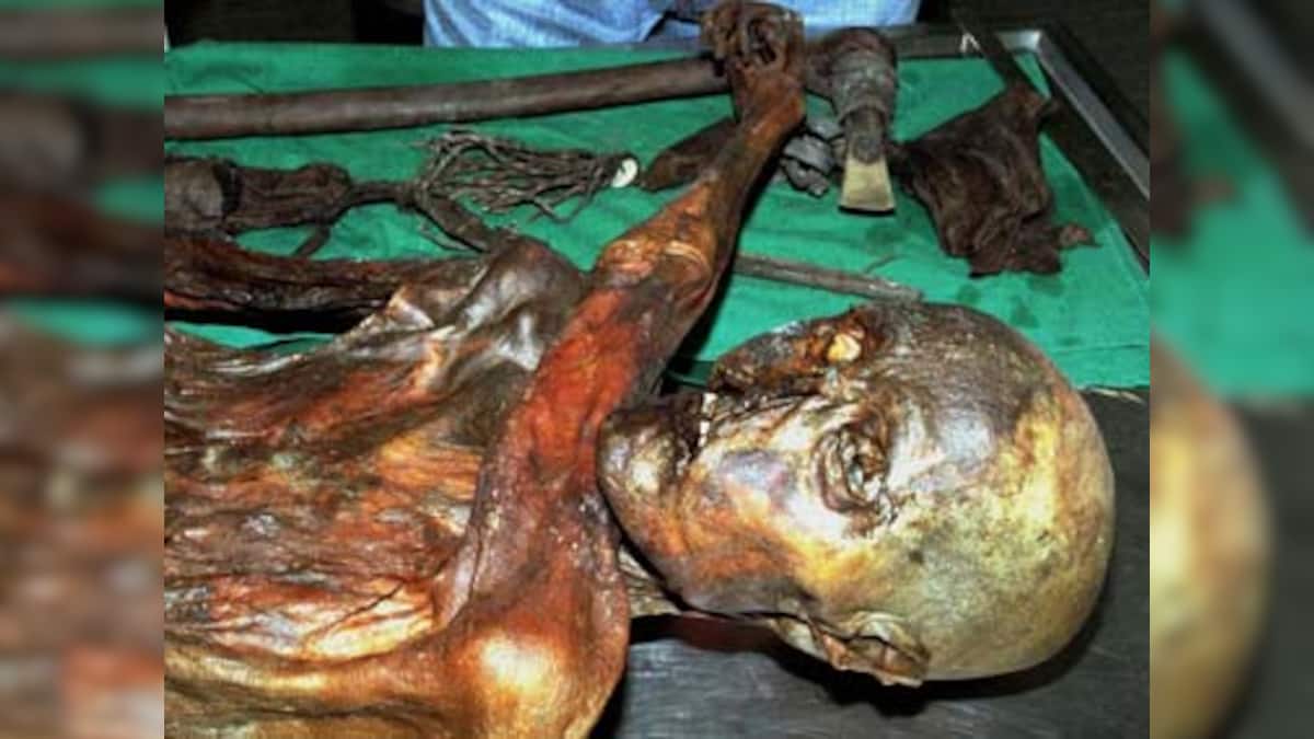 World's oldest blood cells harvested from 5000-year-old iceman – Firstpost