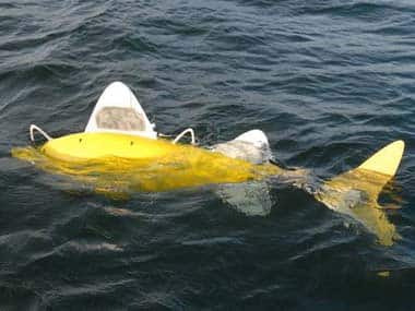 Robotic 'fish' start hunting pollution in the sea – Firstpost