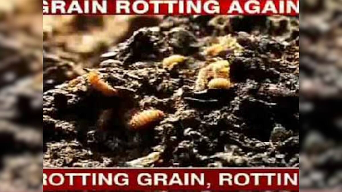 Worms feast on foodgrain, while warehouses store liquor – Firstpost