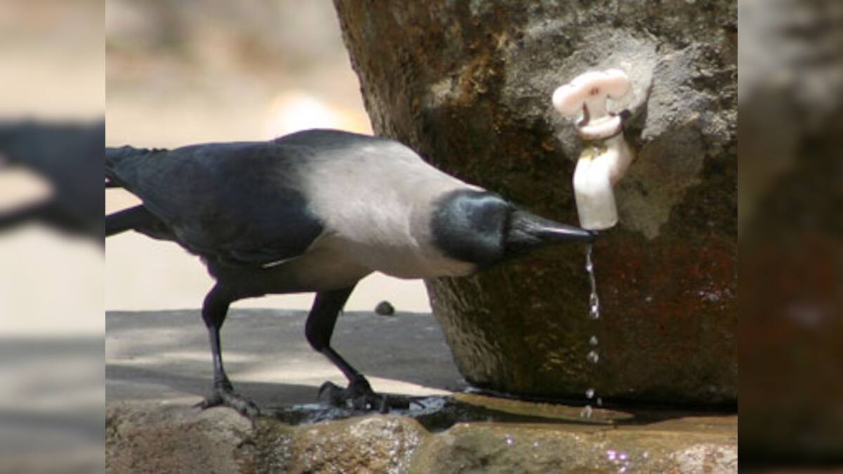 Bengal heat toll shoots up to 42 – Firstpost