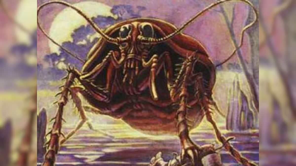 Why you need to stop stomping on cockroaches – Firstpost