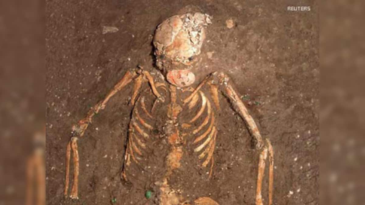Most complete pre-human skeleton discovered: Scientists – Firstpost