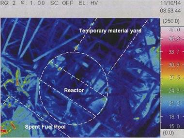 Fukushima disaster leads to mutant butterflies – Firstpost