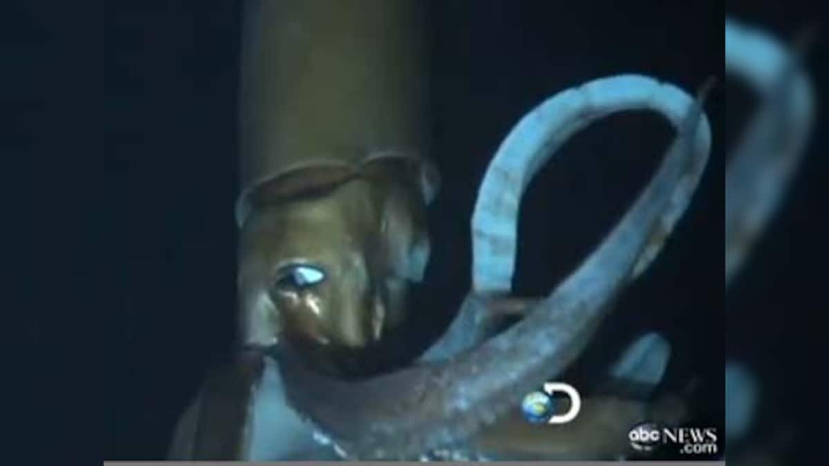 Viral video: Footage of giant squid swimming off Japan coast – Firstpost