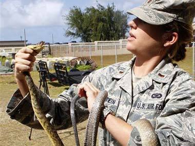 US to combat Guam snake invasion by dropping toxic mice – Firstpost