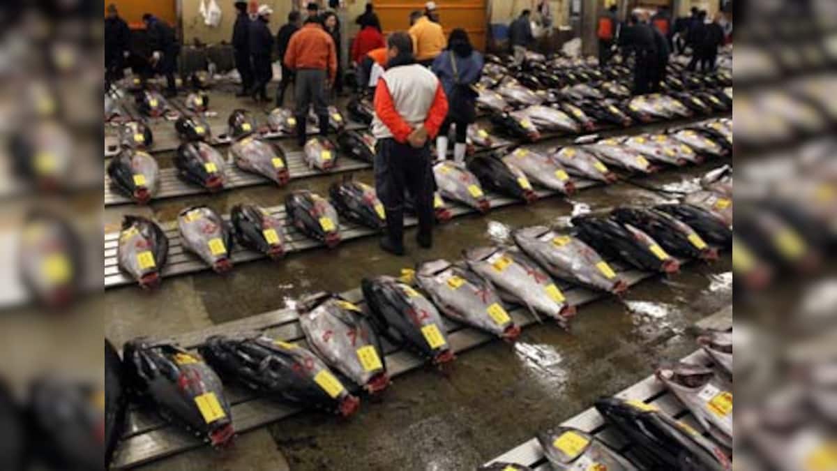 Fear of tuna collapse fails to curb Japan's appetite for sushi – Firstpost