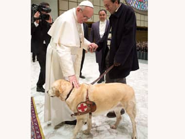 Pope Francis breaks tradition, blesses dog at Vatican – Firstpost