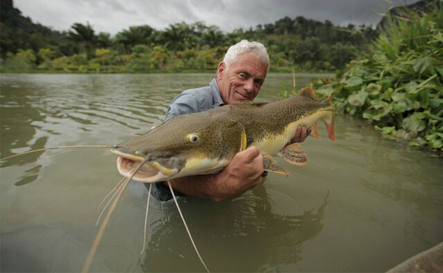 They're real and freaky: Check out these massive catfish - Photos News ...