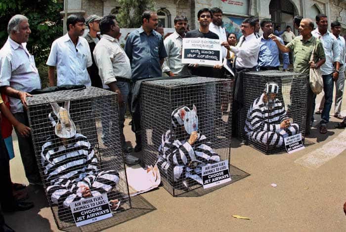 PETA protests against Air India for transporting animals to labs ...
