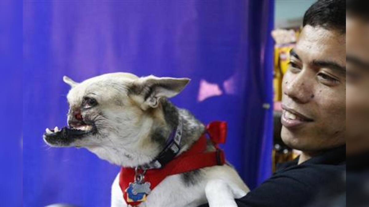 Philippine snout-less dog gets hero's homecoming – Firstpost