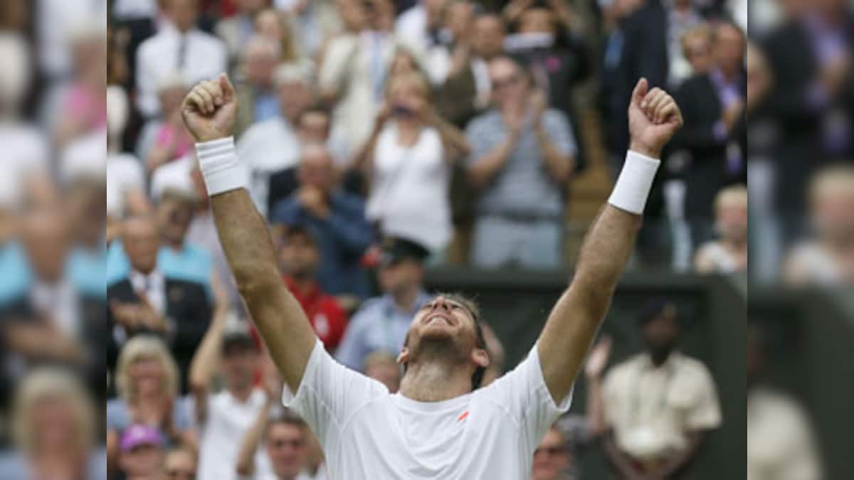 Del Potro fights off injury to crush Ferrer in Wimbledon quarters ...