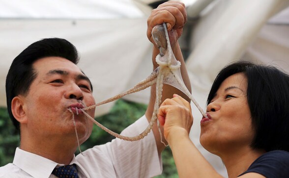 Photos: Did you know South Koreans eat live octopus for fun?-World News ...