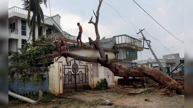 Cyclone Phailin Photos: The damage, the plight, the relief operations ...