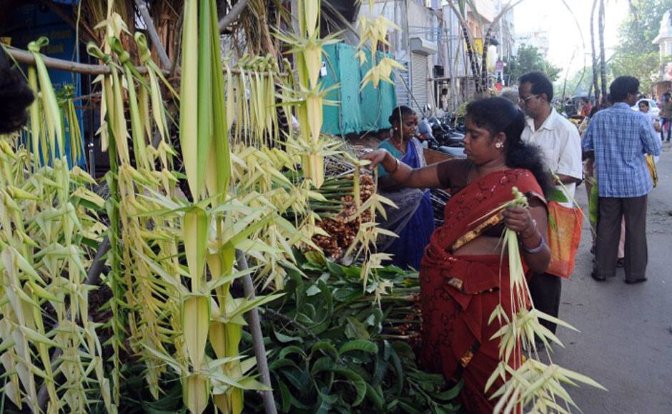 Photos: Pongal celebrations kick off in Tamil Nadu – Firstpost