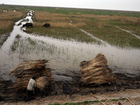 China's water crisis deepens as wetlands shrink 9%-World News , Firstpost