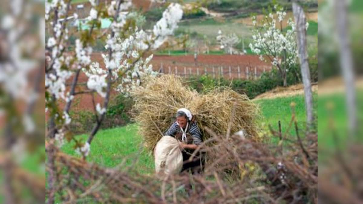 Fodder scam convict Jagdish Sharma released on bail – Firstpost
