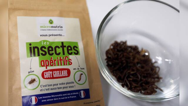 Photos: How Europe-based Micronutris is making insects edible – Firstpost