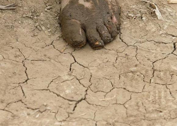 China begins soil pollution clean-up amid doubt over funding – Firstpost