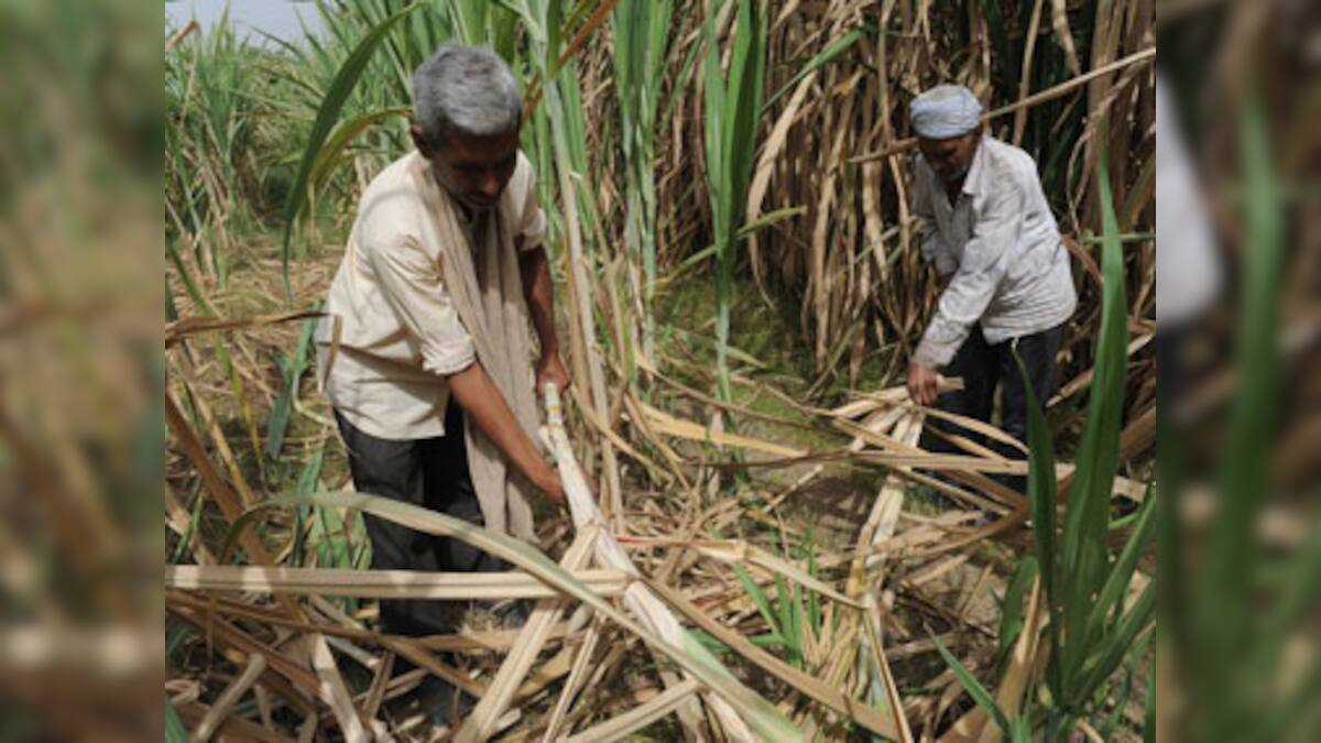 Why Modi's move on sugar is just for political gains – Firstpost