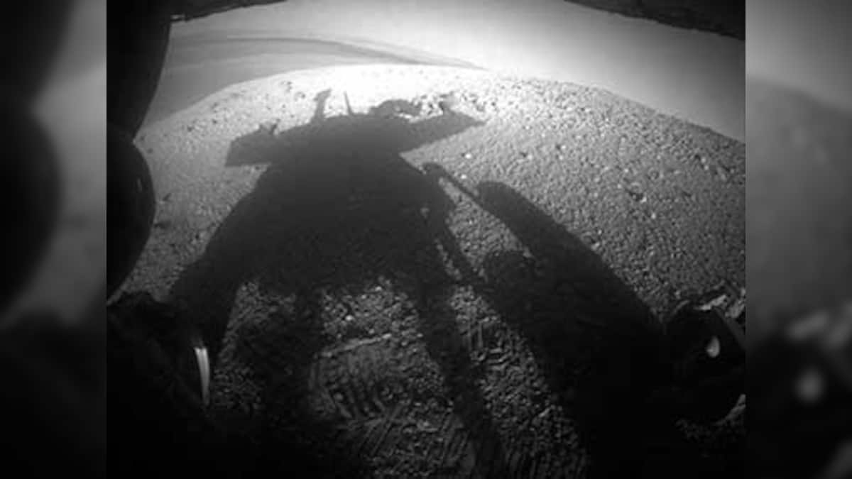 NASA to send rats to space for longer duration – Firstpost