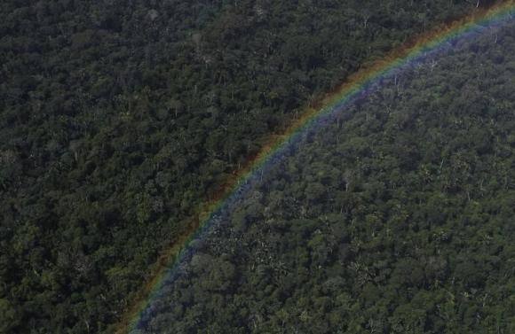 Amazon rainforest grew after climate change 2,000 years ago - study ...