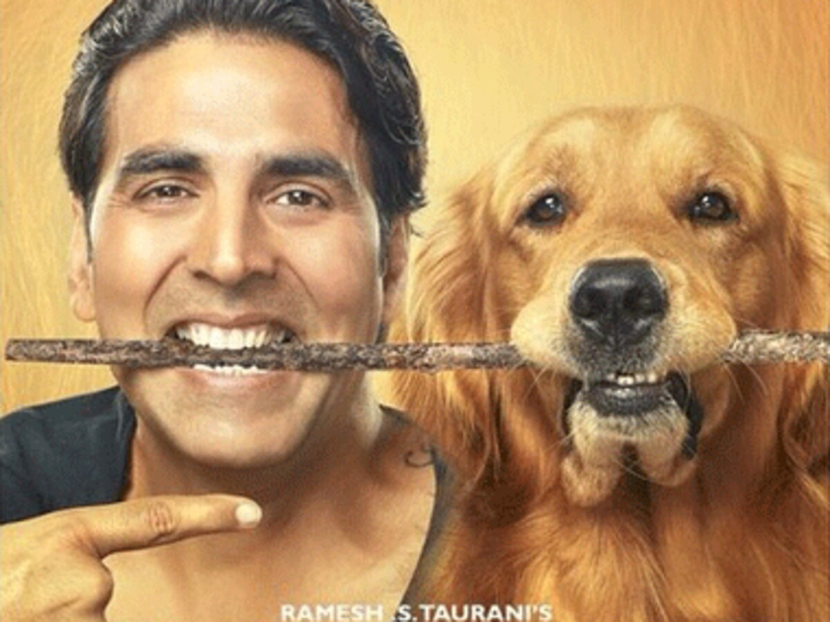 Entertainment Film Dog