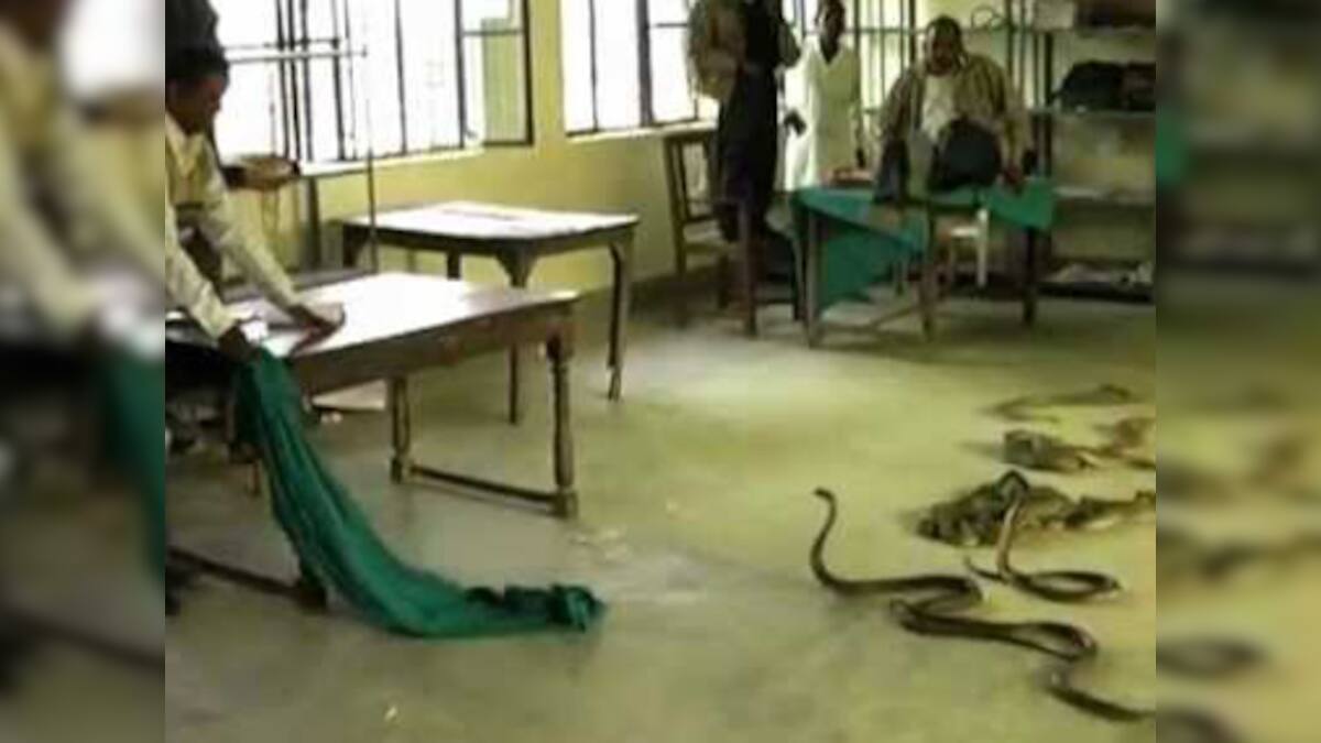 Going viral: The picture of snakes in Lucknow tax office is 3 years old ...