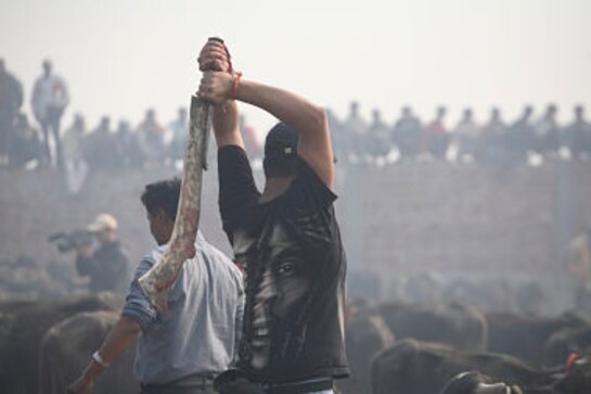 Nepal: Hindu devotees to defy protests over mass animal slaughter ...