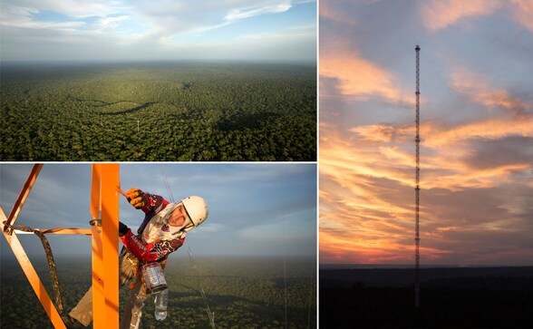 Photos: The incredible views from the amazing Amazon Tall Tower ...