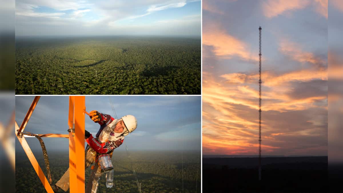 Photos: The incredible views from the amazing Amazon Tall Tower ...