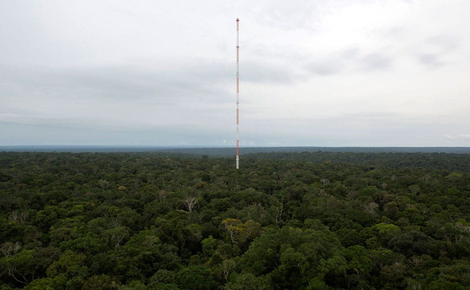 Photos: The incredible views from the amazing Amazon Tall Tower ...