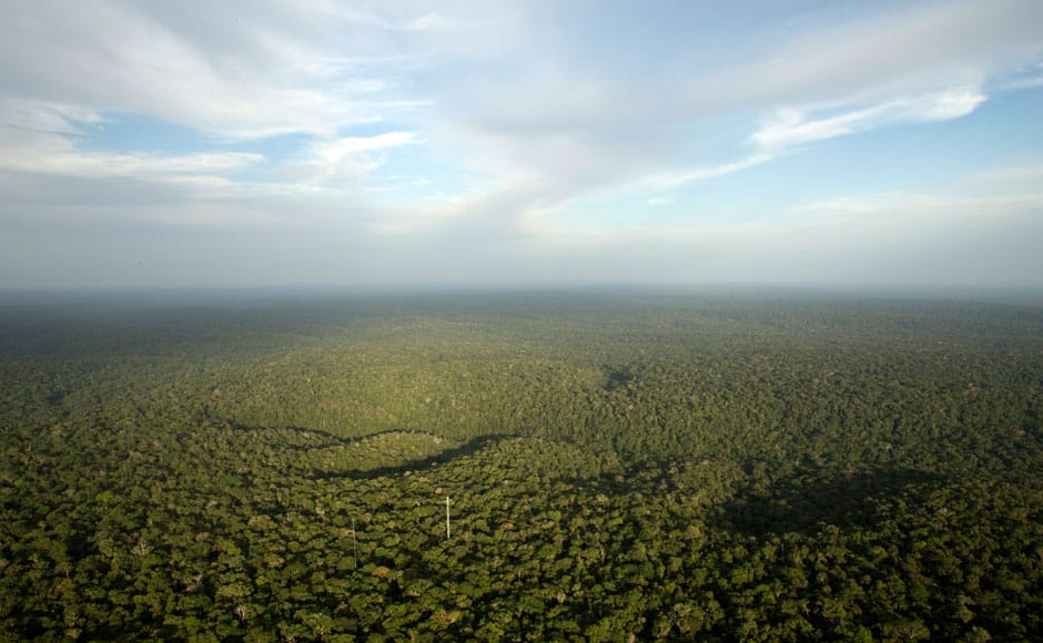 Photos: The incredible views from the amazing Amazon Tall Tower ...