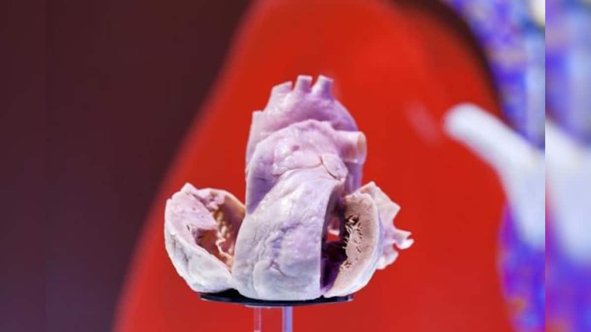 Scientists find key gene mutations behind inherited heart disease ...