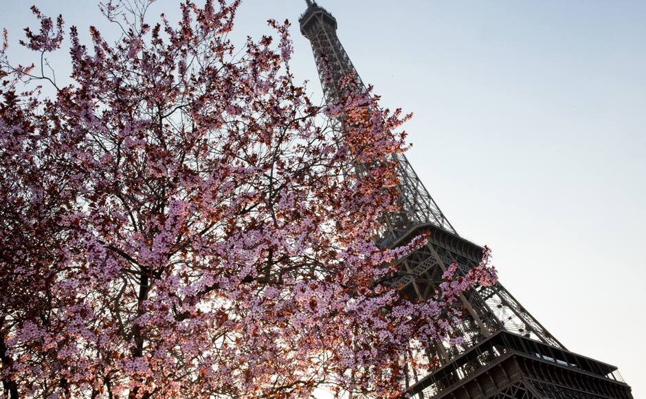 From tree blossoms to snow: First day of Spring from around the world ...