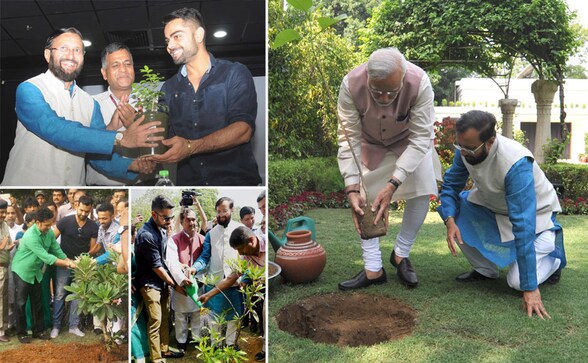 PM Modi, Sachin Tendulkar, Virat Kohli plant trees as India celebrates ...