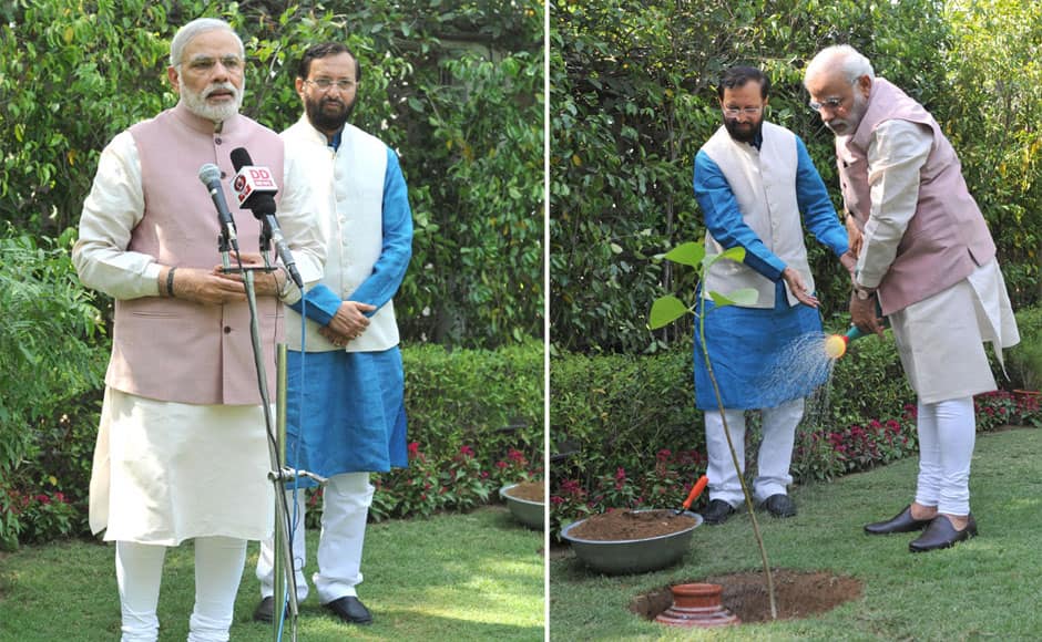 PM Modi, Sachin Tendulkar, Virat Kohli plant trees as India celebrates ...
