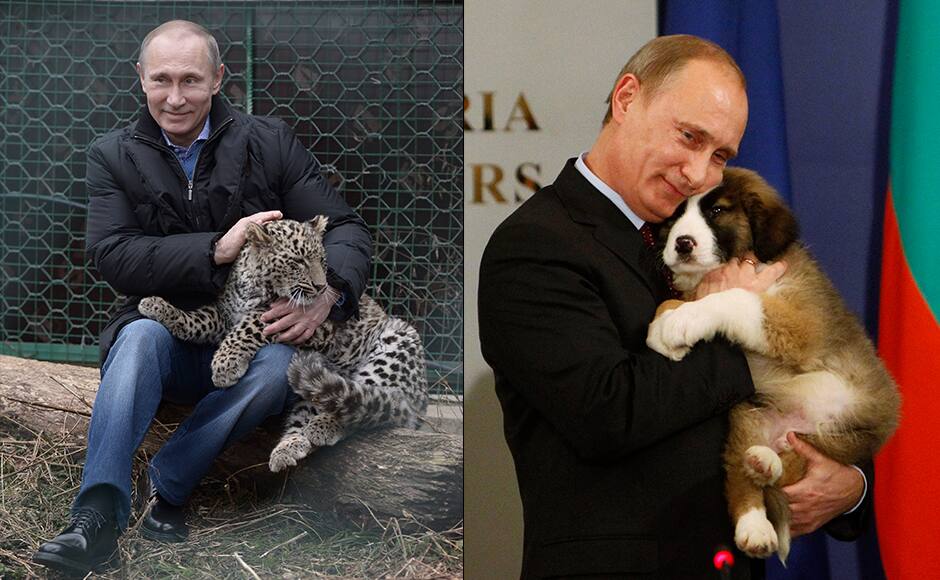 Persian Leopard Putin