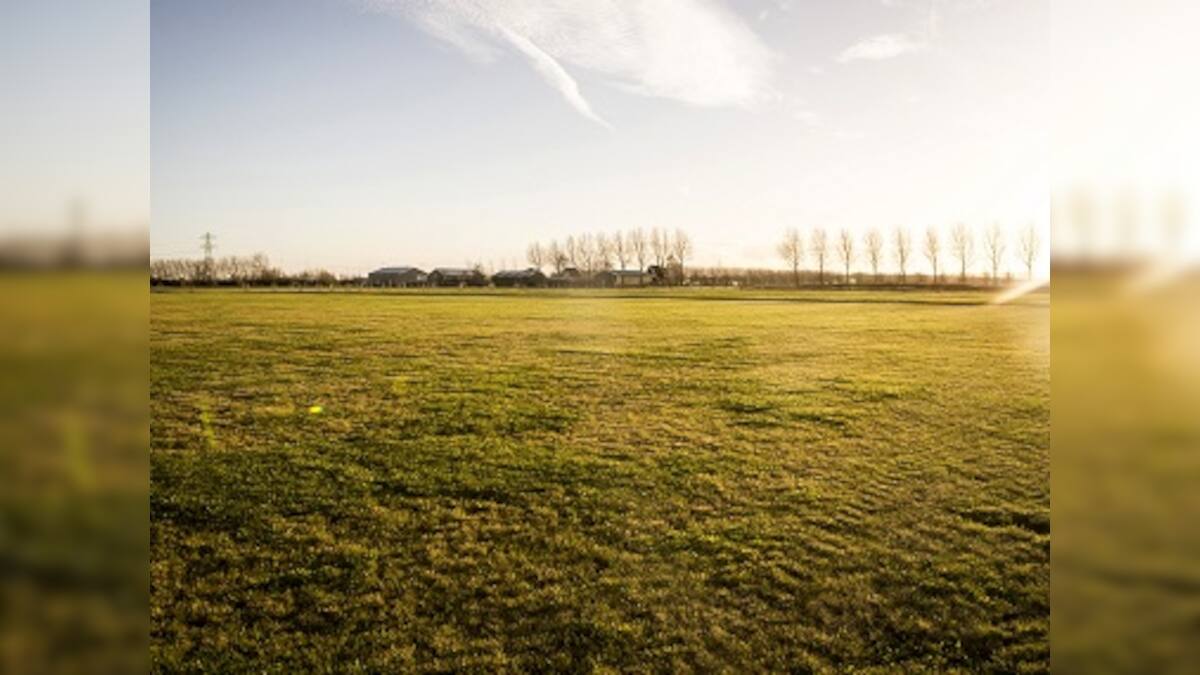 Netherlands to commemorate MH17 victims by planting 298 trees near ...