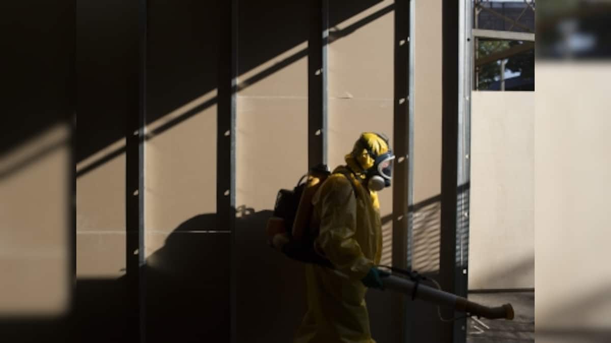 'Extraordinary event': WHO declares global emergency over Zika despite lack of definitive proof ...